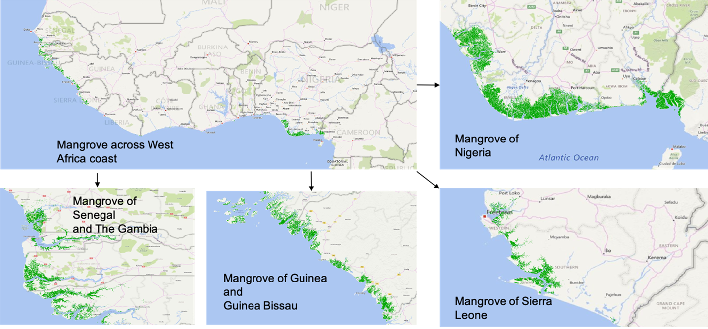 Mangrove Forests Mapping | Center for Geographic Analysis